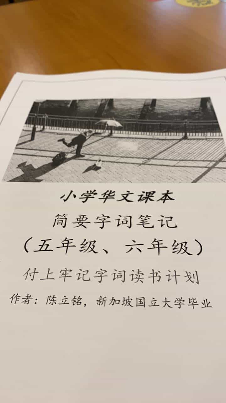 New Word List For Primary 5 And 6 New Primary Chinese Textbook