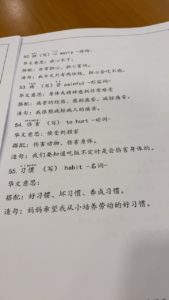 Four steps to pass your psle Chinese language papers. - Mrtansg's blog